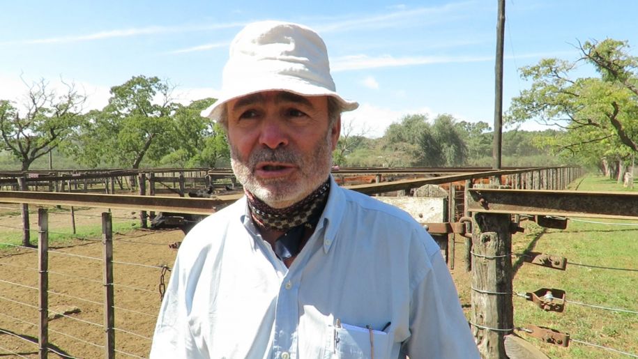 Luis Ledesma - Consignatario
