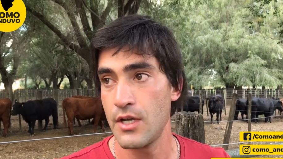 Nicolás Marti - Representante de Wallace Hnos. S.A.