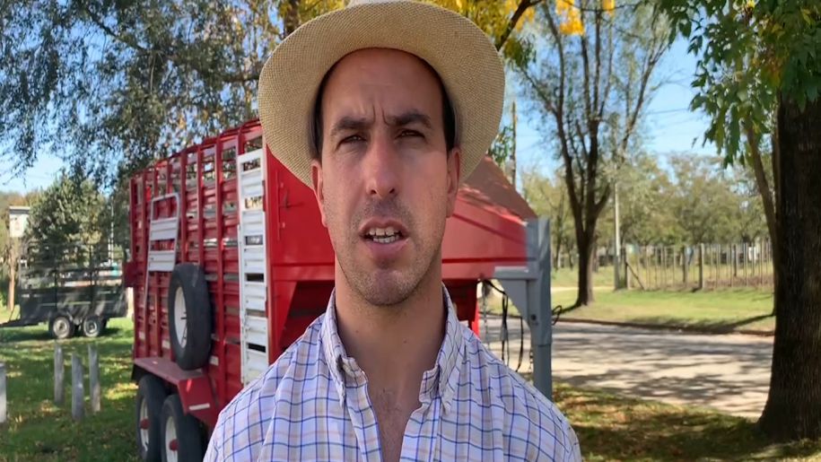 Martín Canales - Remate de Rocco, Canales y Cía.