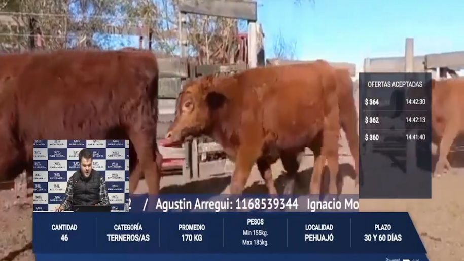 Resultados del Remate por Internet de Martín G. Lalor S.A.