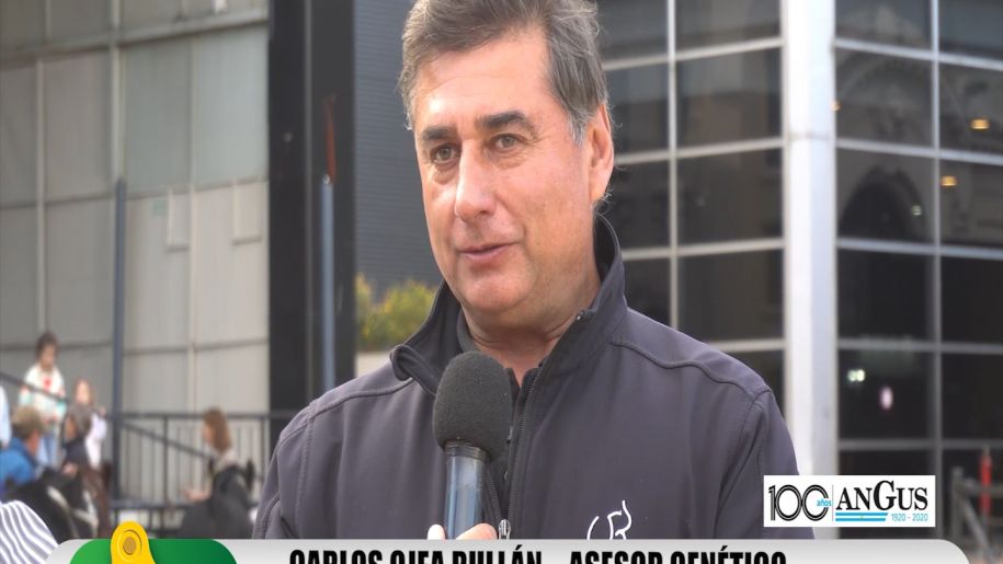 Carlos Ojea Rullán - Asesor Genético - Expo. Angus Centenario