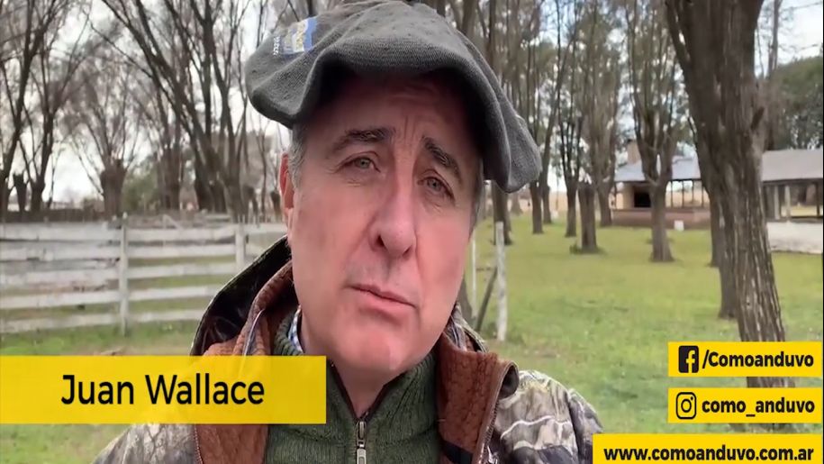 Juan Wallace - Martillero - Remate de Consignataria Matteucci & Bardín