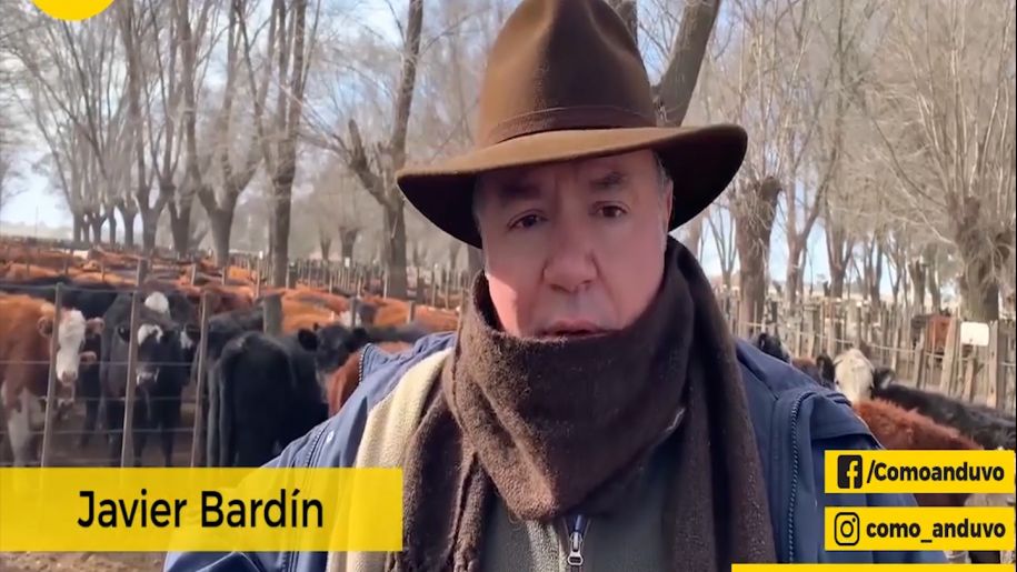 Javier Bardín - Remate de Consignataria Matteucci & Bardín