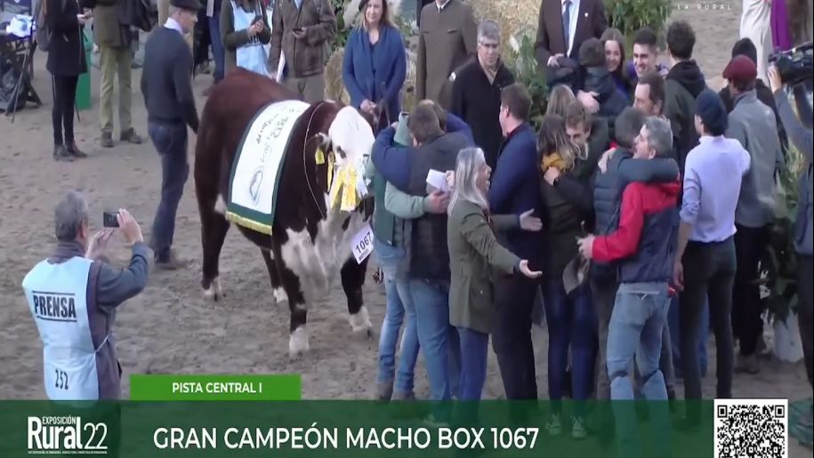 Entre Surcos y Corrales Ya - Transmisión en vivo