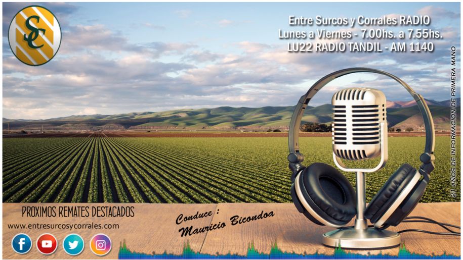 Entre Surcos y Corrales Ya | Noticias en línea