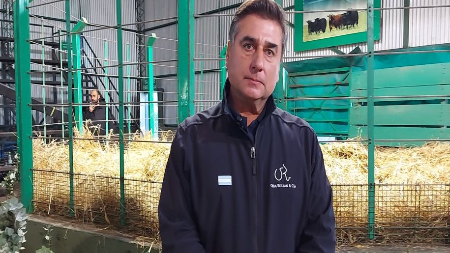 Carlos Ojea Rullán - Asesor Genético