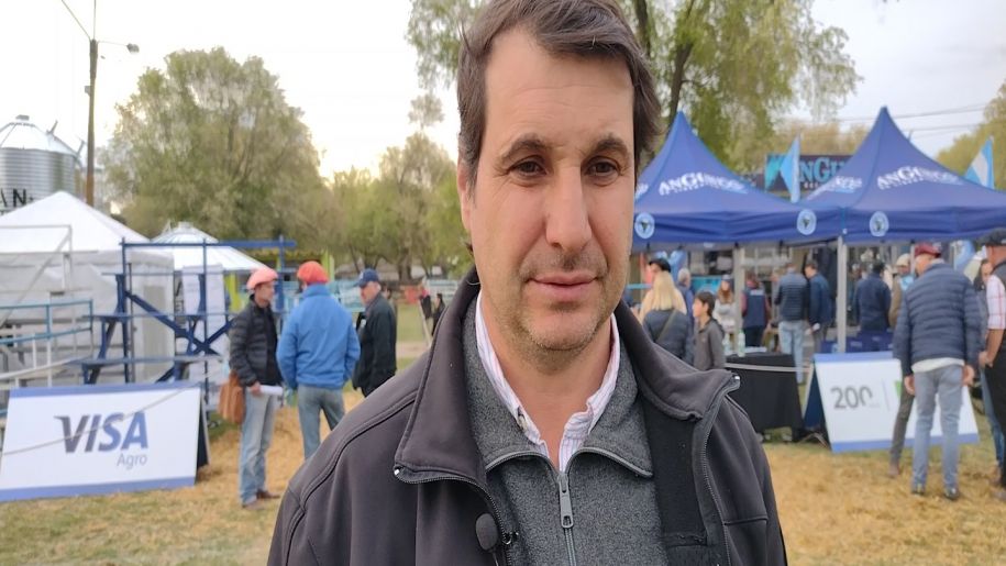 Rodrigo Fernández - Jurado de Clasificación