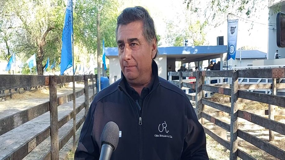 Carlos Ojea Rullán - Asesor Genético - Remate de Cabaña Don Romeo