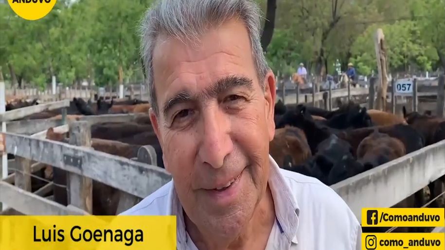 Luis Goenaga - Remate de Nestor I. Goenaga y Cía. S.A.
