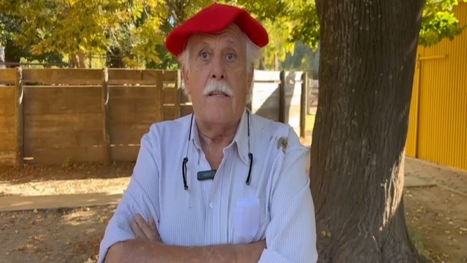 Juan Carlos Correa - Remate Aniversario de Nestor I. Goenaga y Cía.