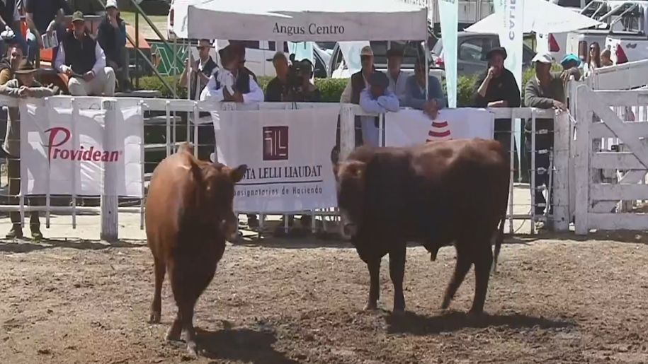 Resultados del Remate de la Prueba del Río Quinto