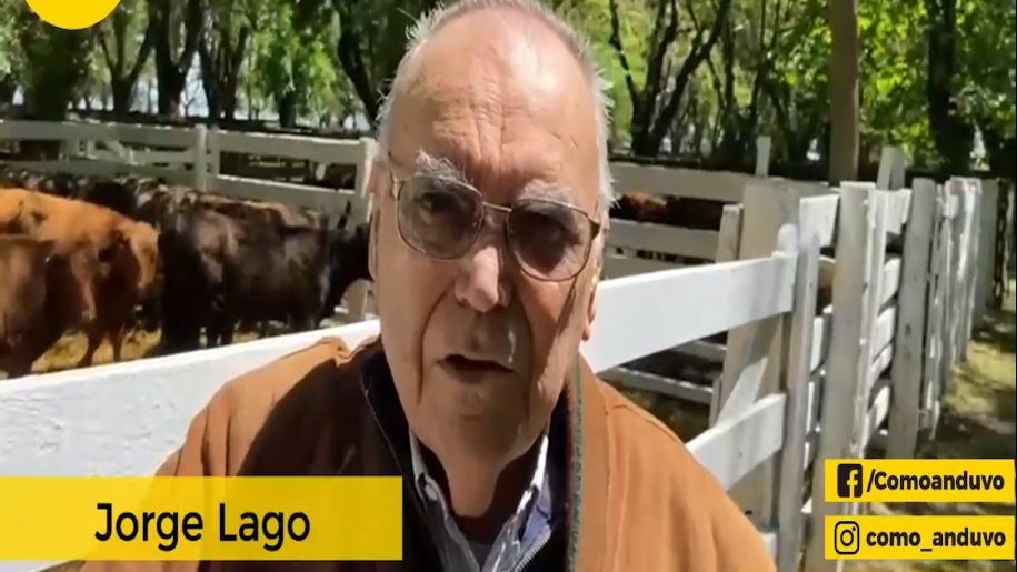 Jorge Lago - Remate Aniversario Casa Lago S.A.