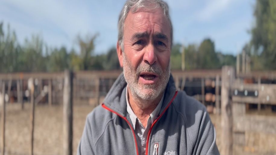 Luis Ledesma - Remate de Ledesma y Cía.